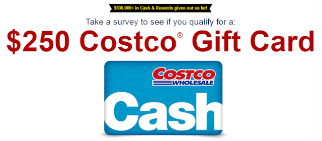 Online Gifts For People: Get $250 to Spend at Costco!