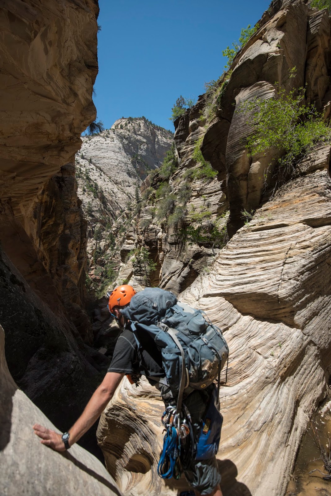CHECKERBOARD CANYON 3BIV. ZION NATIONAL PARK - ADAM HAYDOCK