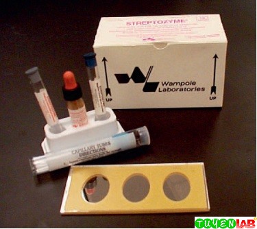 [Microbiology] Atlas about Immunodiagnosis of Infectious Diseases ...