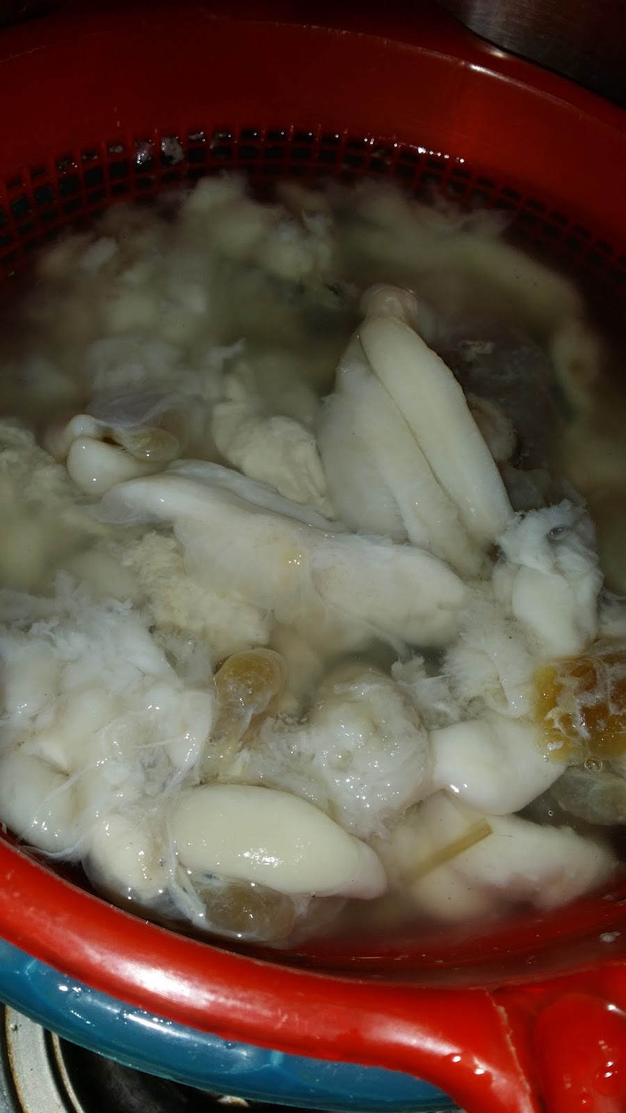 AHWAALULHAYAH: Telur Sotong