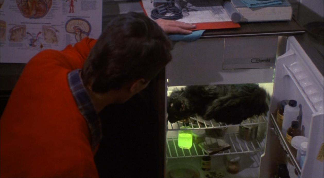 From Midnight, With Love: Midnight Movie of the Week #193 - Re-Animator