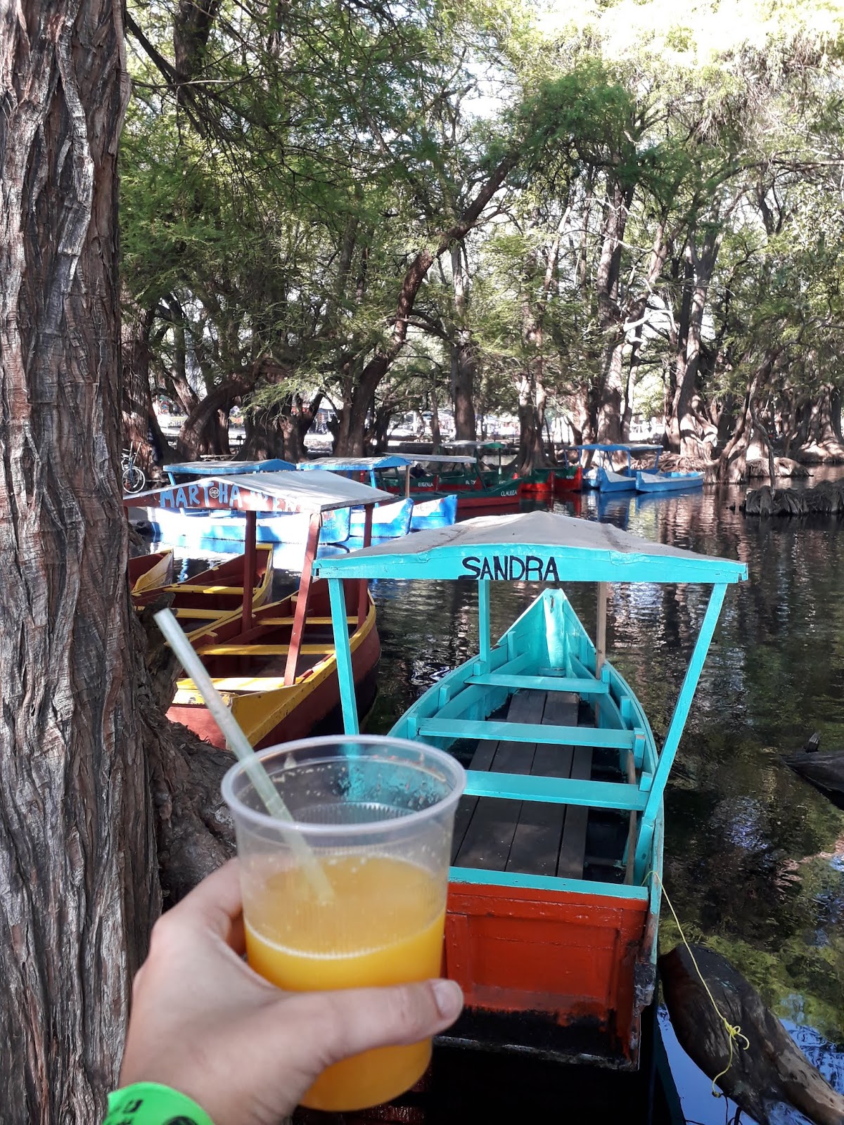 Lago de Camecuaro - MICHOACÁN (Parte 1) | Viviendo en el México Mágico!