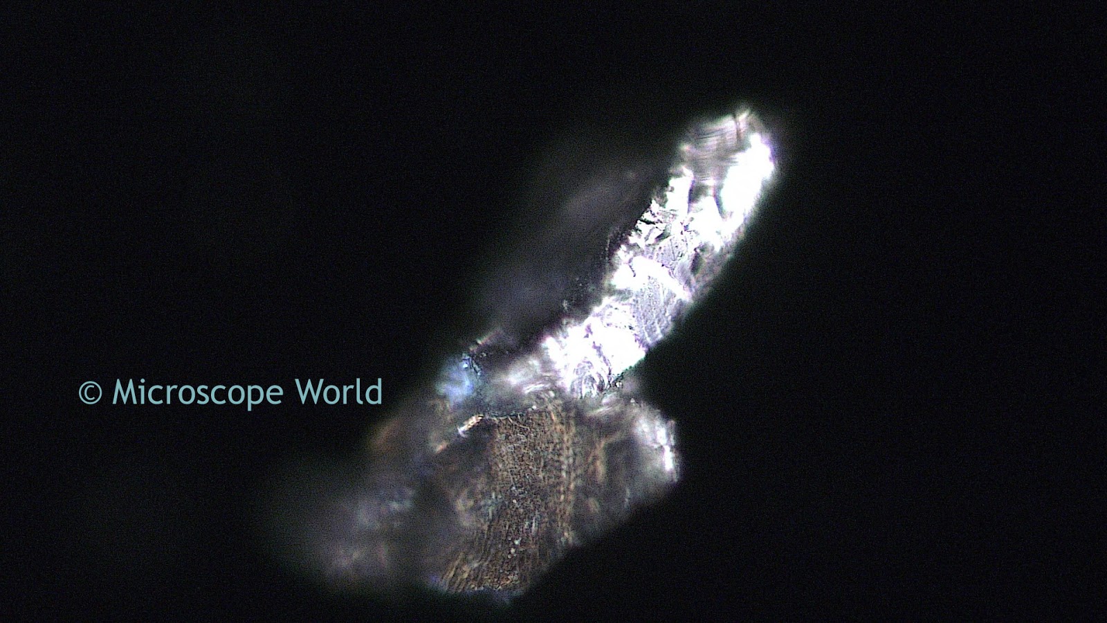Microscope World Blog: Ore Under the Microscope