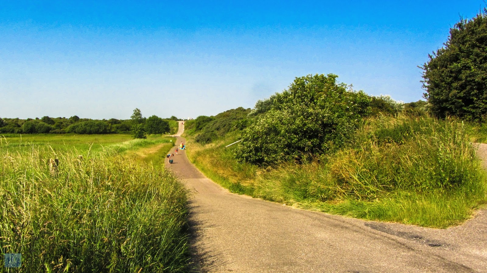 Mes escapades........: Le Zwin