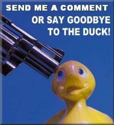 Say Goodbye to The Duck - Funny Photos, Funny Videos