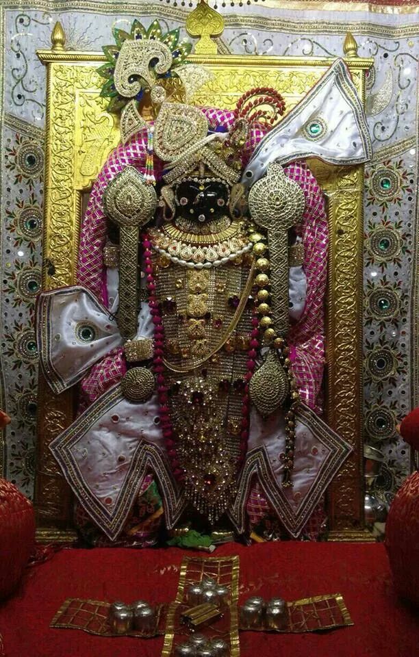 dharmik: jay ranchod ray