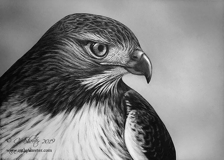 Scratchboard Art Birds
