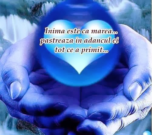 Love Is Life: Povestea INIMII - cea mai frumoasa poveste despre cele ...