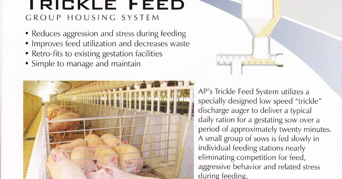 CV SINAR MUSTIKA: GSI Group (AP) Trickle Feed Group Housing System