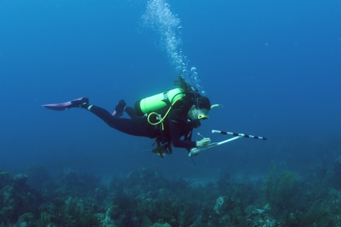 Swan Island Expedition Day 02 - Mission Blue