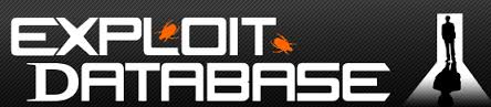 ¿Que Es Un Exploit?