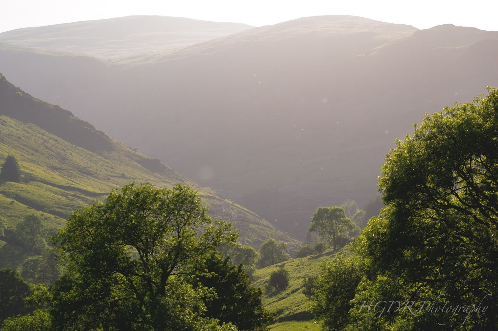 HGDR Photography | London-based photographer, graphic designer, model