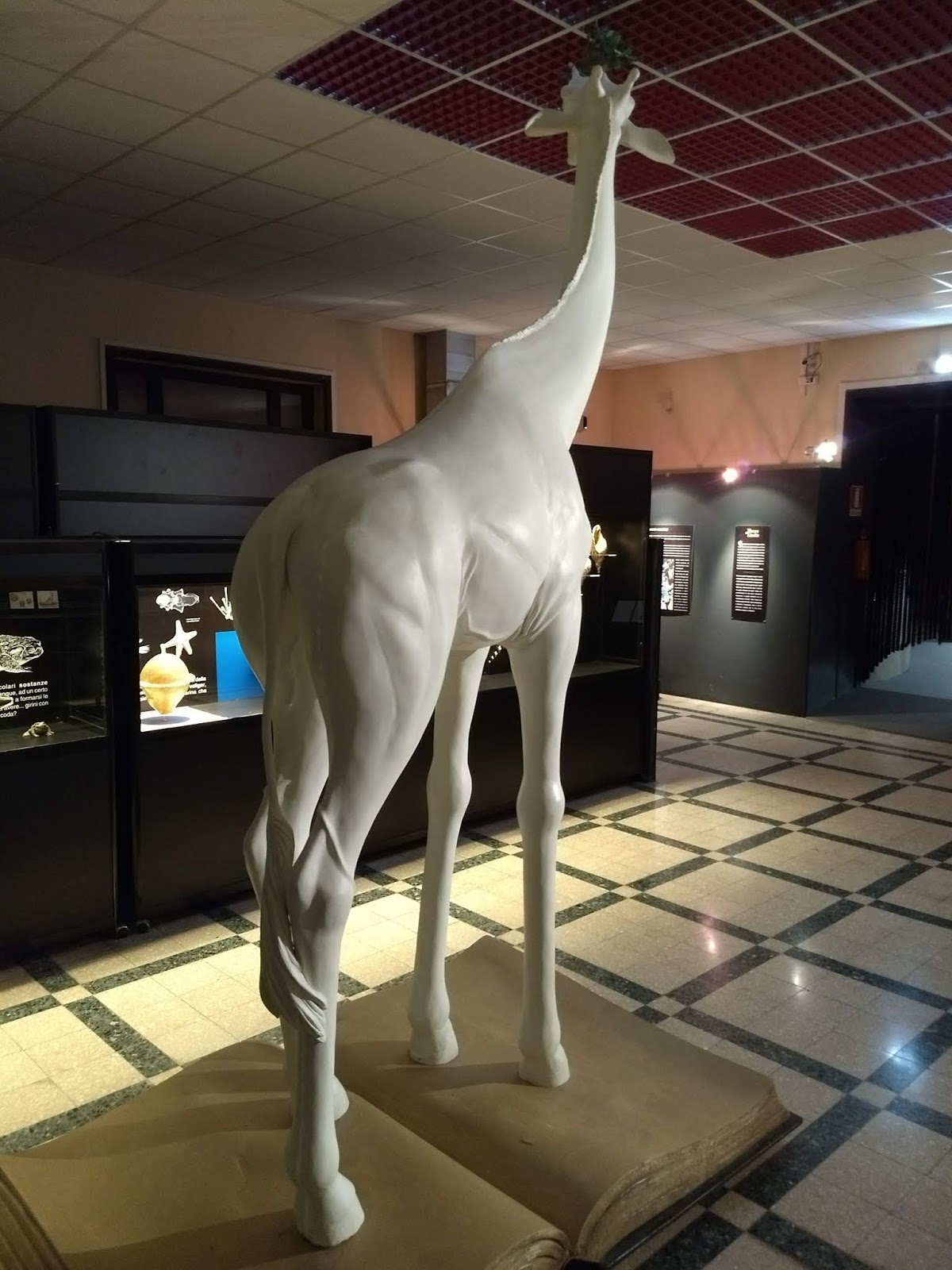 Skiing the Planet: World's Worst Cave Museum