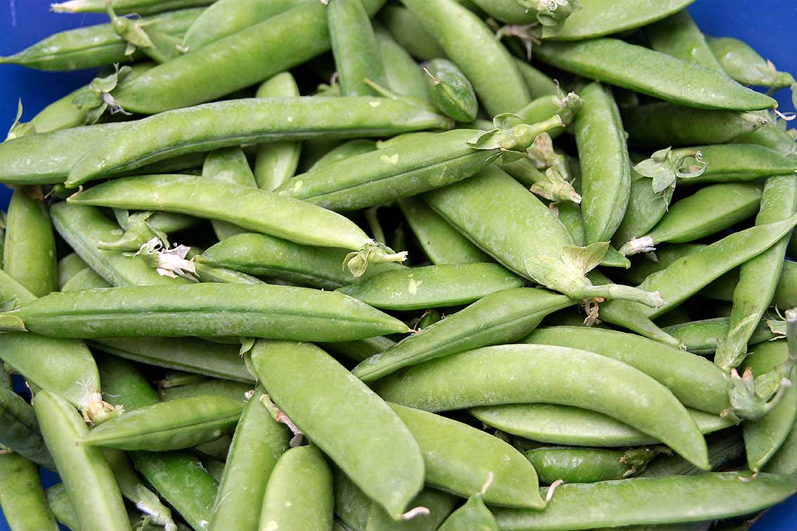 Arvejas de la huerta