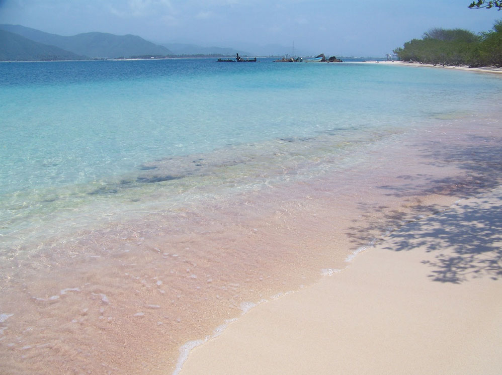 Anna D'Agostino: ISLA LARGA: UNA EXPERIENCIA SUBACUÁTICA