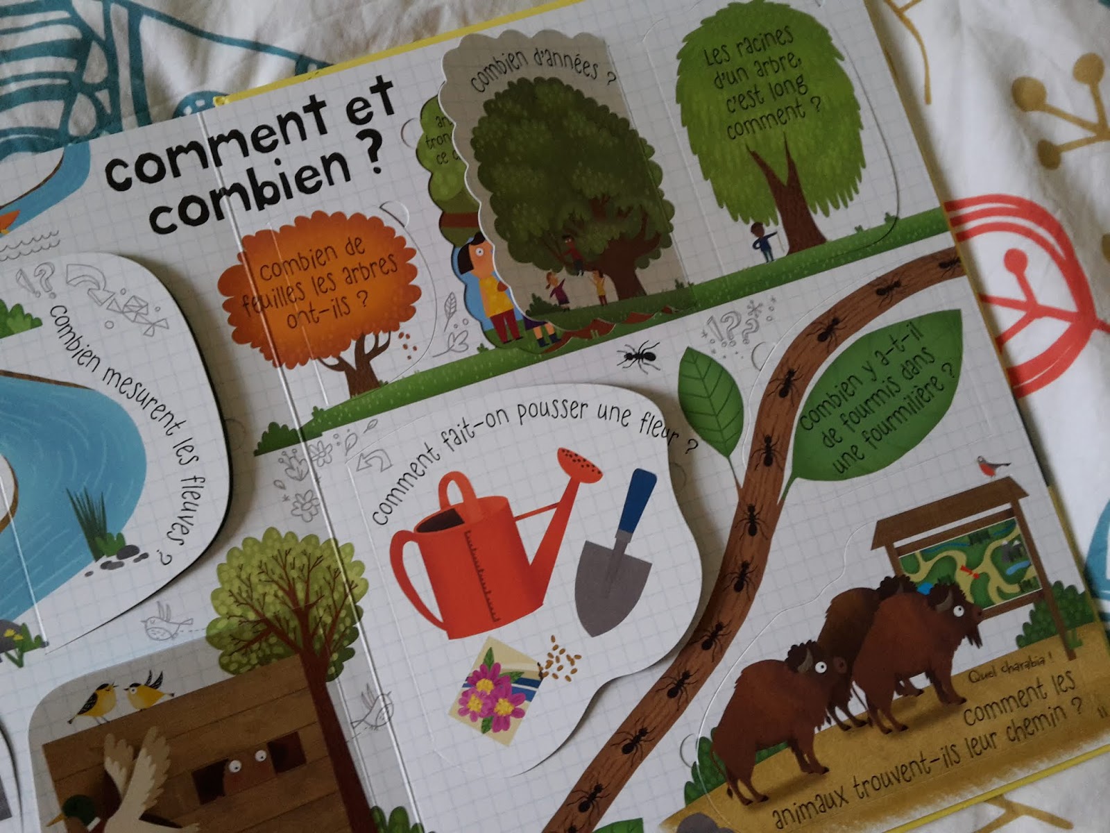 Sous le feuillage: Mon livre des questions-réponses - La nature de ...