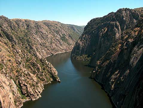 Bibliotecas Especializadas de Zamora: Mirando al Duero