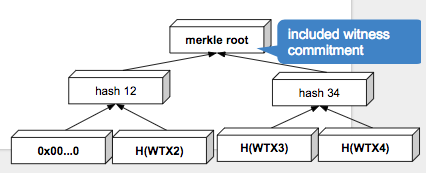 EMBEDDED: Segregated Witness (Segwit)