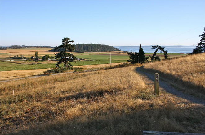 Ebey's Forever: "Rebecca: the story of Rebecca Ebey"