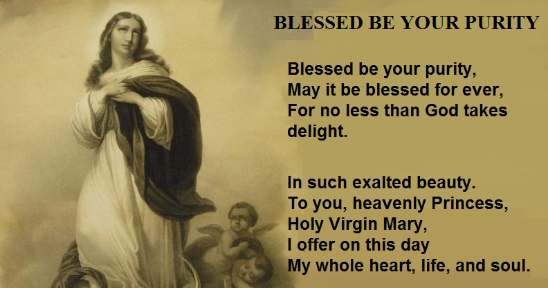 CATHOLICITYBLOG: Blessed be your purity
