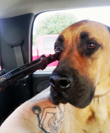 Four legged friends (and enemies): Oklahoma: Paul Factor, suspected of ...