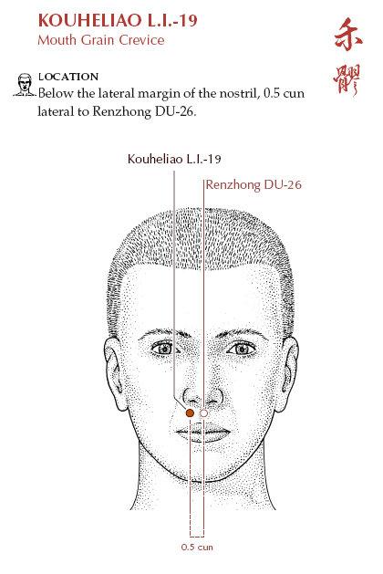 Acupuncture Masters: Acupuncture Points Database - Large Intestine channel