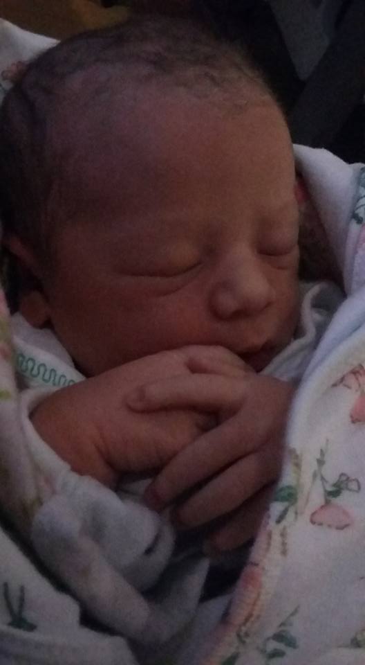 viv out on a whim: new baby alert!