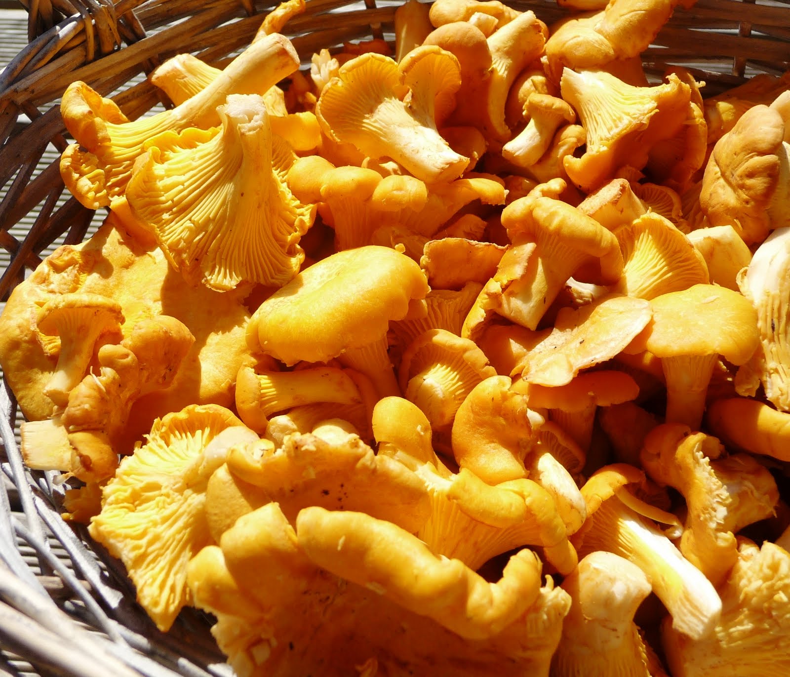 Ave KÖÖK: Seenepirukas