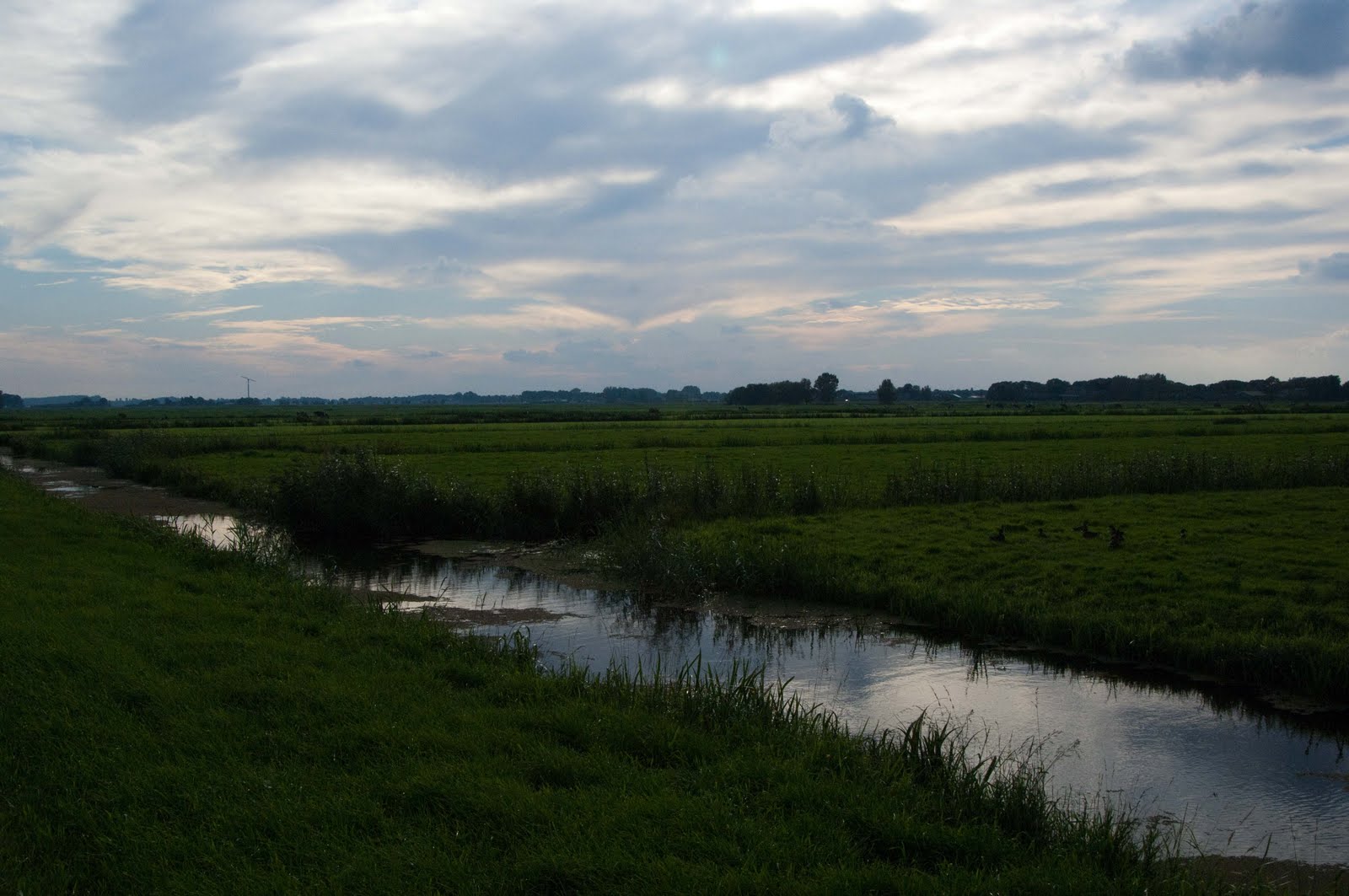 Paul Ferraby Studio Blog