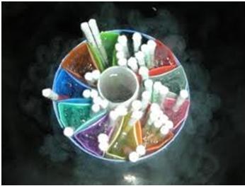 IVF SURROGACY INDIA | IFC | Dr. Rita Bakshi: Blastocyst & Embryo ...