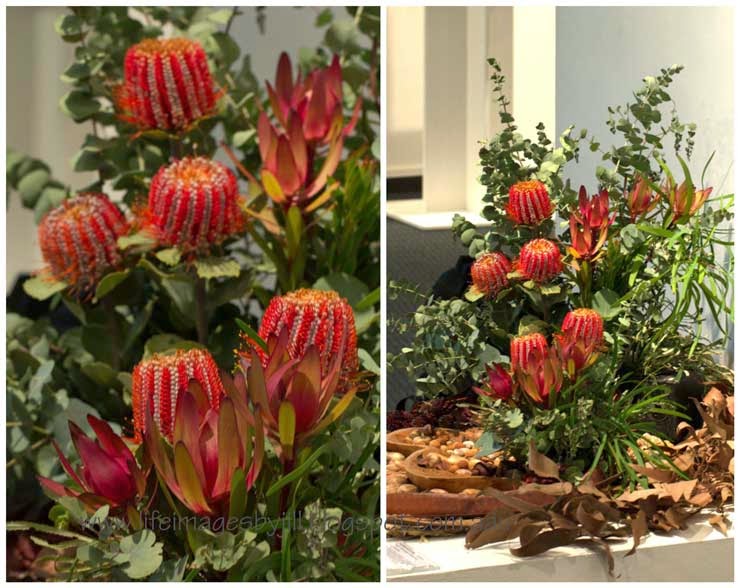 Life Images by Jill: Blooming Art 2014 - Bunbury Regional Art Gallery ...