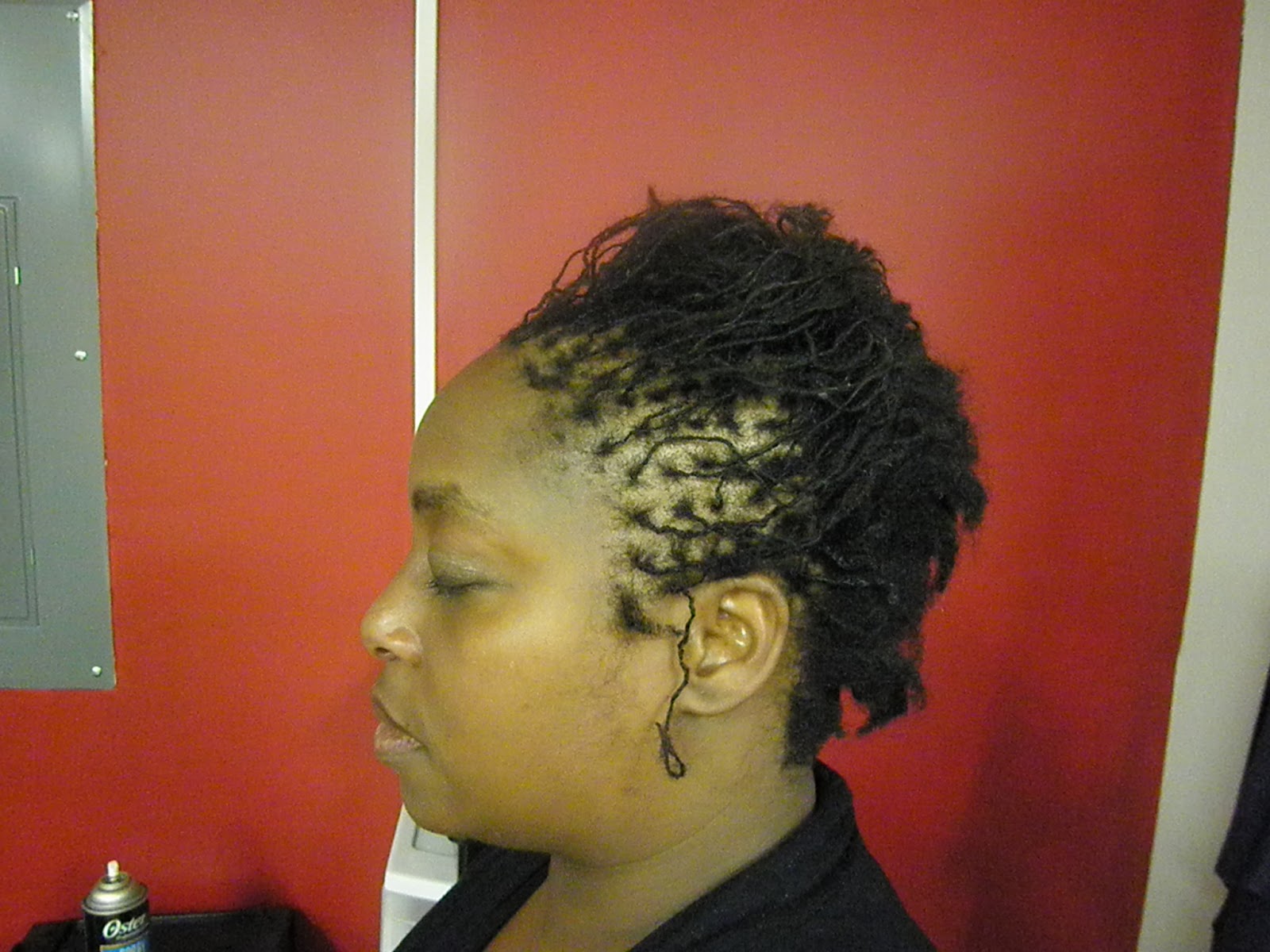 PhenomenalhairCare: SisterLocks: Reasons for Switching Consultants