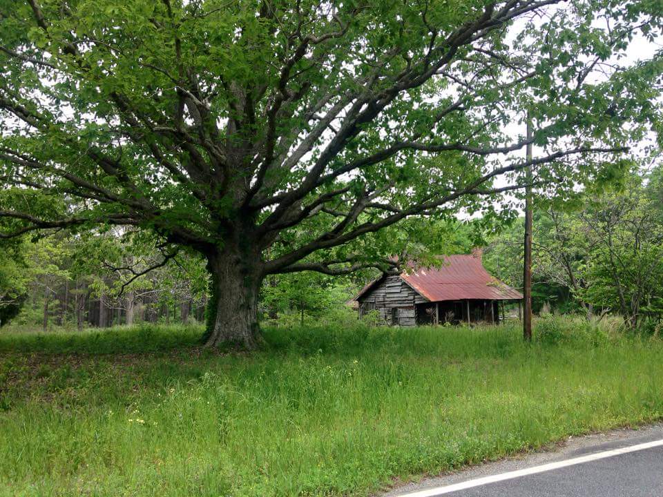 Forgotten Georgia: Old Home Place in Twiggs County