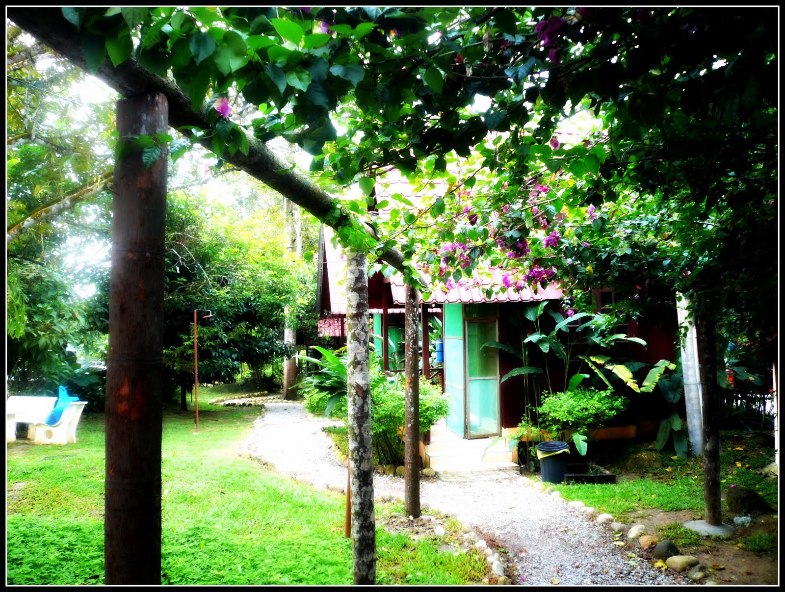 Kalumpang Resort & Training Centre: Pemandangan