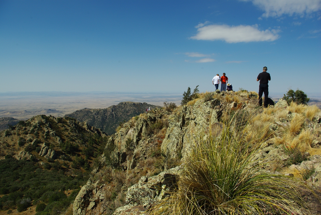 Here and There//Texas/New Mexico: Mt Livermore, Davis Mountains: Texas' #2