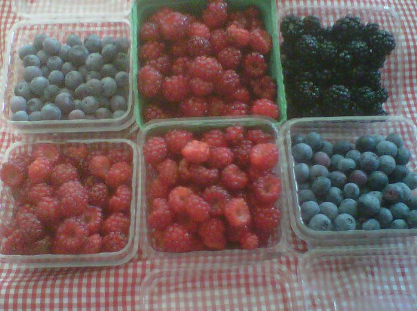 What's Growing On at Whitley Farms: Welcome to Whitley Farms