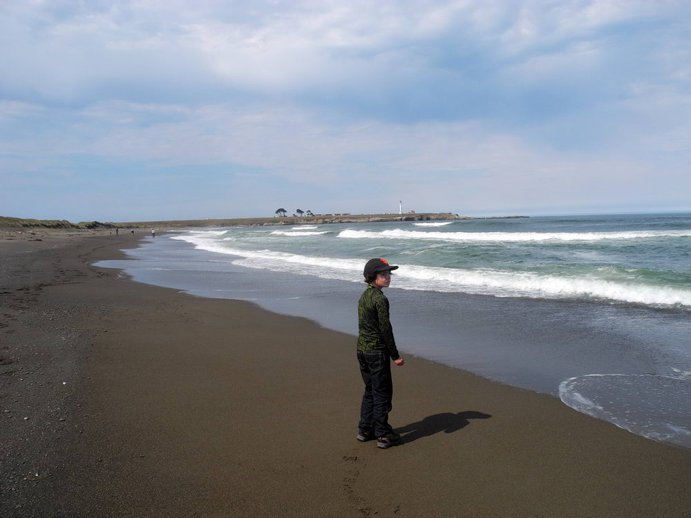 If it's Thursday, I'm probably hiking.: MANCHESTER STATE BEACH AND ...