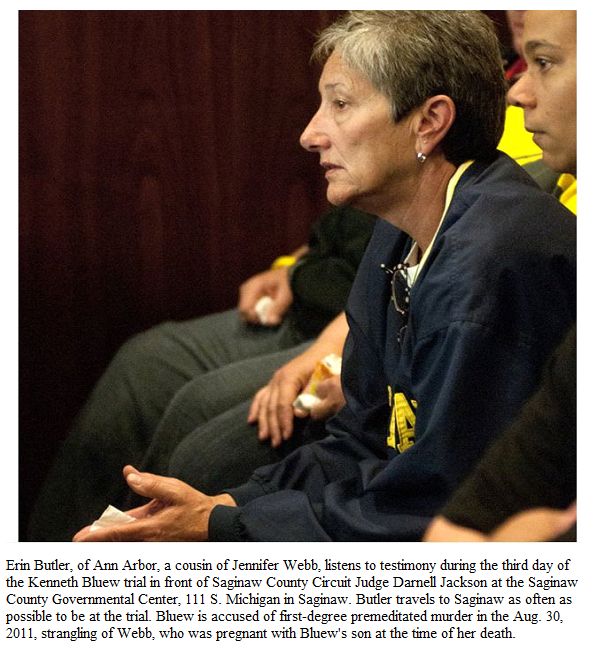 OIDV Project Of Michigan - Officer Involved Domestic Violence Project ...