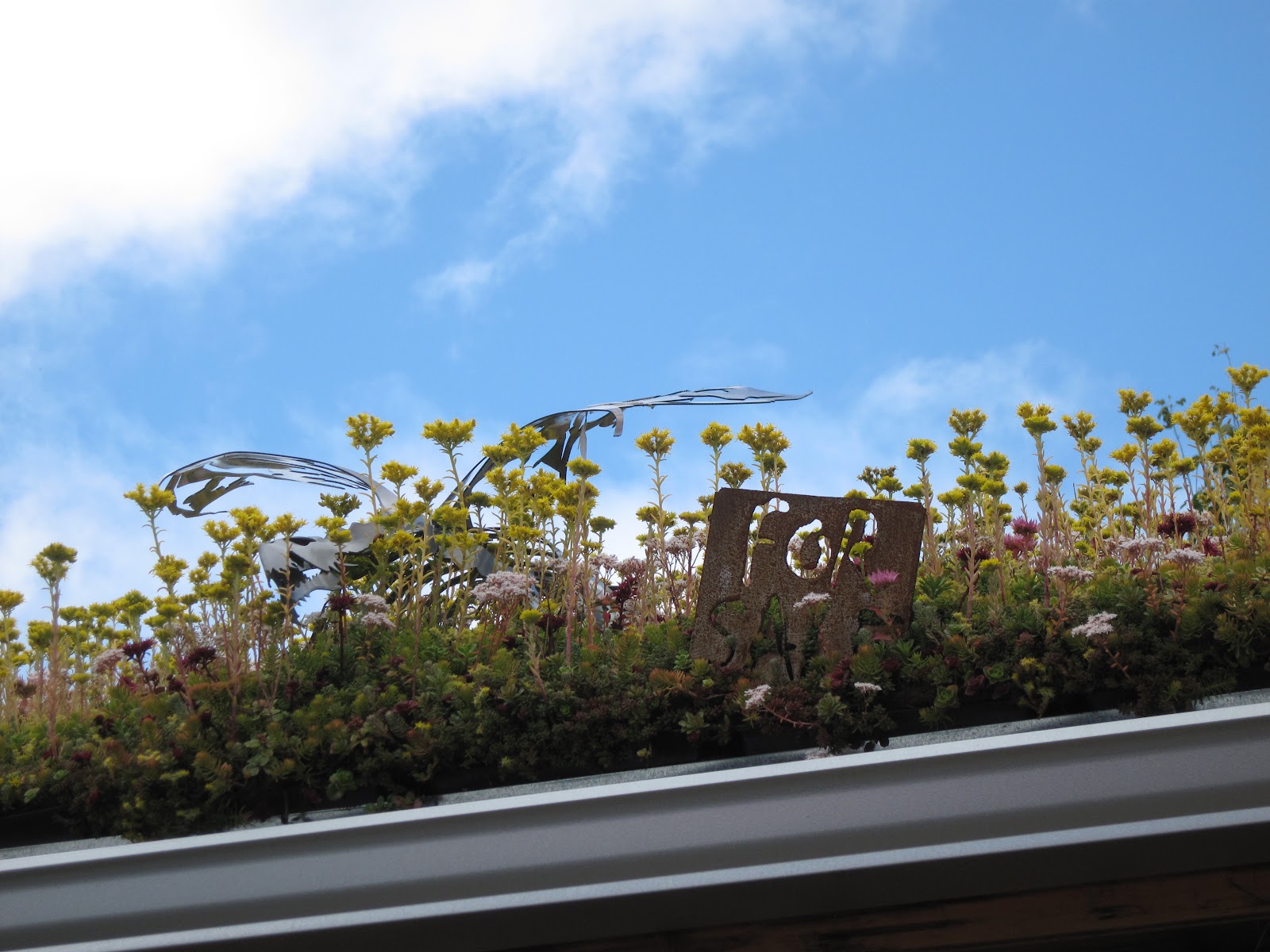 Bonney Lassie: A Visit to Dragonfly Farms Nursery