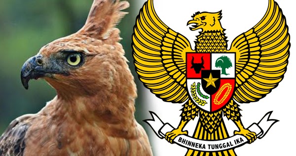 PUTERA SANG SURYA: Manuk Dadali