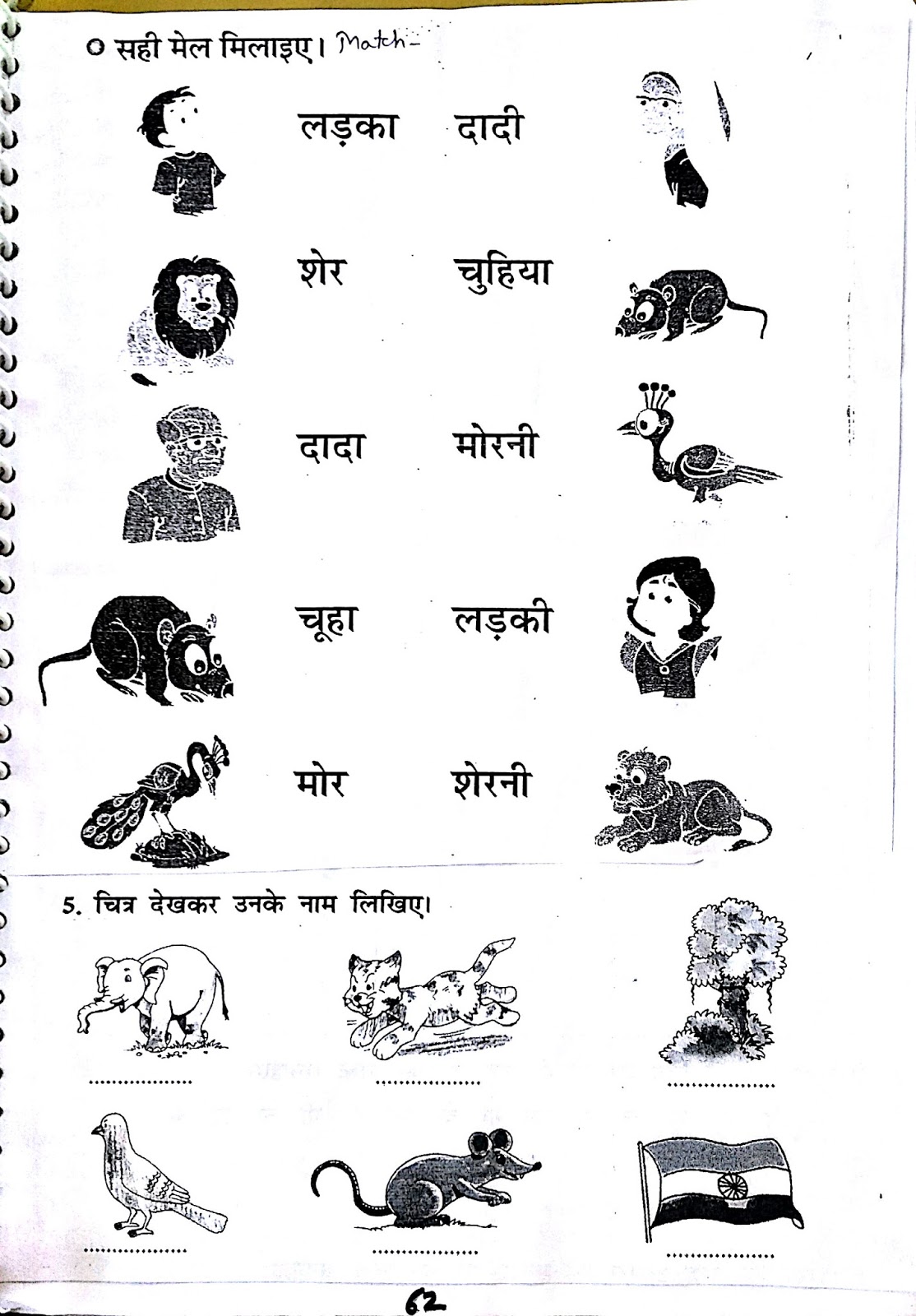 Hindi Grammar Work Sheet Collection for Classes 5,6, 7 & 8: Gender ...
