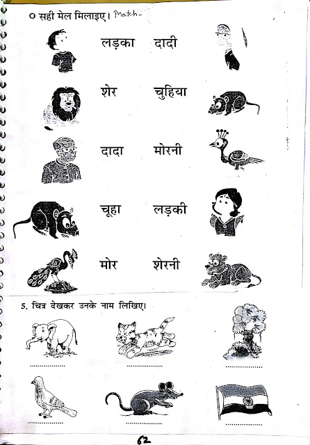 Hindi Grammar Work Sheet Collection for Classes 5,6, 7 & 8: Gender ...