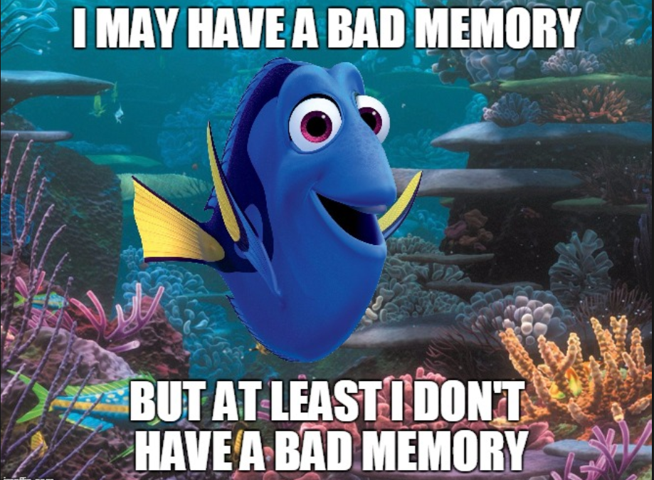 Craig Cottongim: Why would experts want you to distrust your memory...?