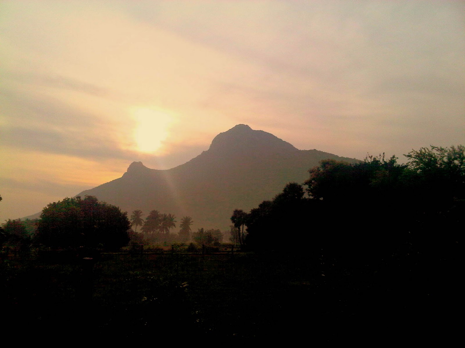 Sharan Sharma: Arunachala