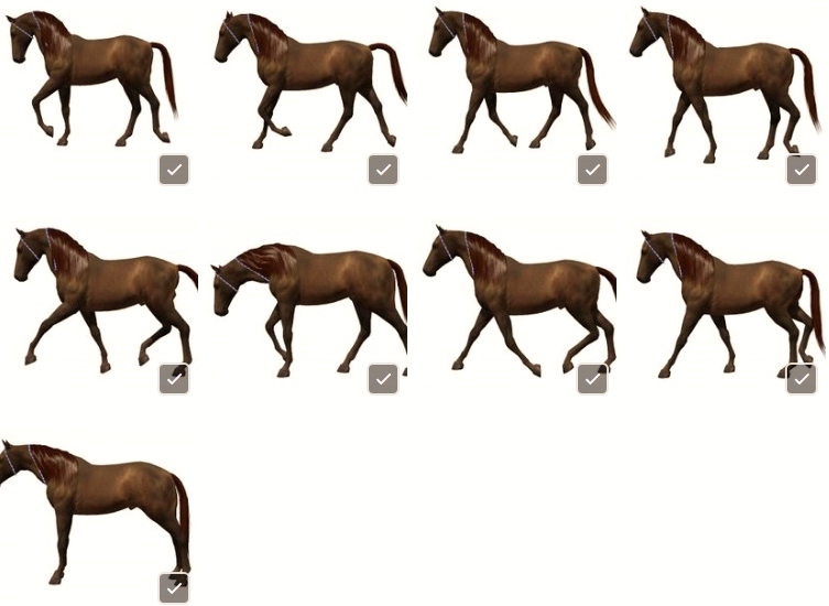Equus CC-Database: Missouri Fox Trotter Pose Pack