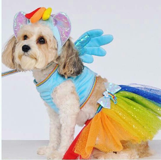Equestria Daily - MLP Stuff!: Official My Little Pony... Dog Costumes ...