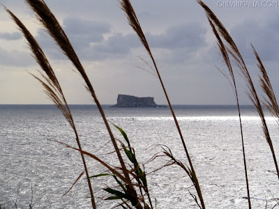 Father Julian's Blog: Filfla - rock or island?
