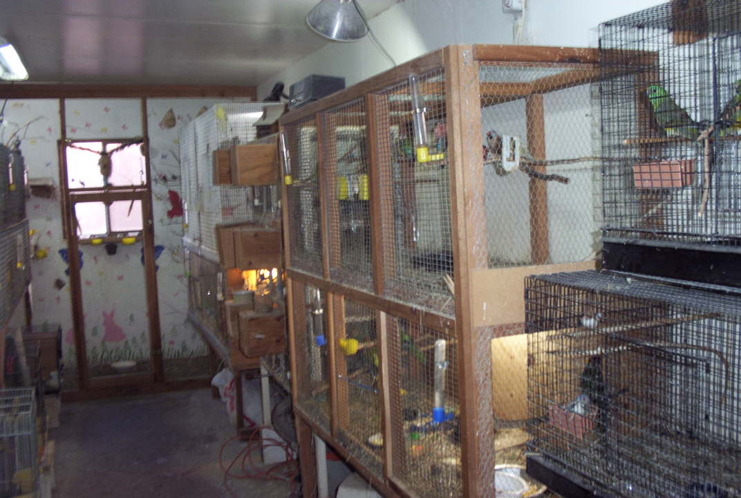 The Splendid Bourke Bird Blog: Bird Aviaries, Outdoor and Indoor