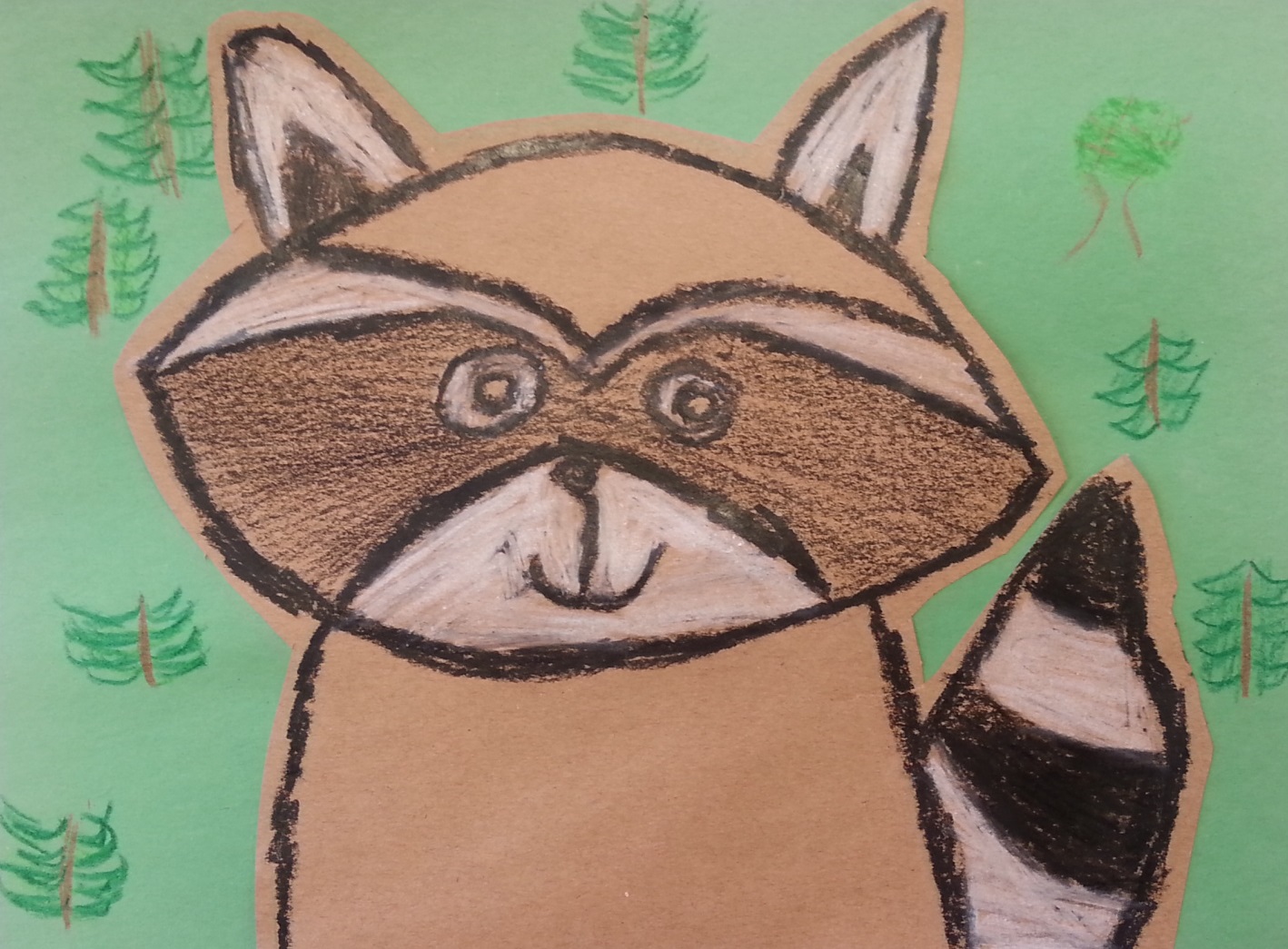 Raccoon Drawing For Kids