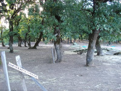 Sotiris Sotiropoulos: Ο ΨΕΥΔΟΜΕΝΟΣ ΔΑΣΑΡΧΗΣ ΠΥΡΓΟΥ ΚΑΙ ΤΟ ΔΙΑΒΟΗΤΟ ...